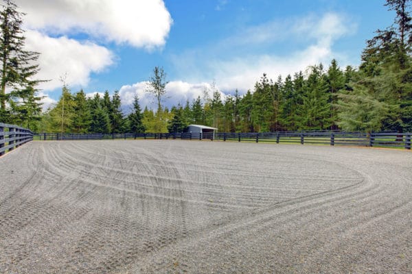 Horse Arena Grooming Equipment & Maintenance | PF