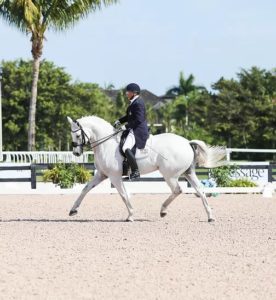 GGT Footing | German Geo Textile | Performance Footing