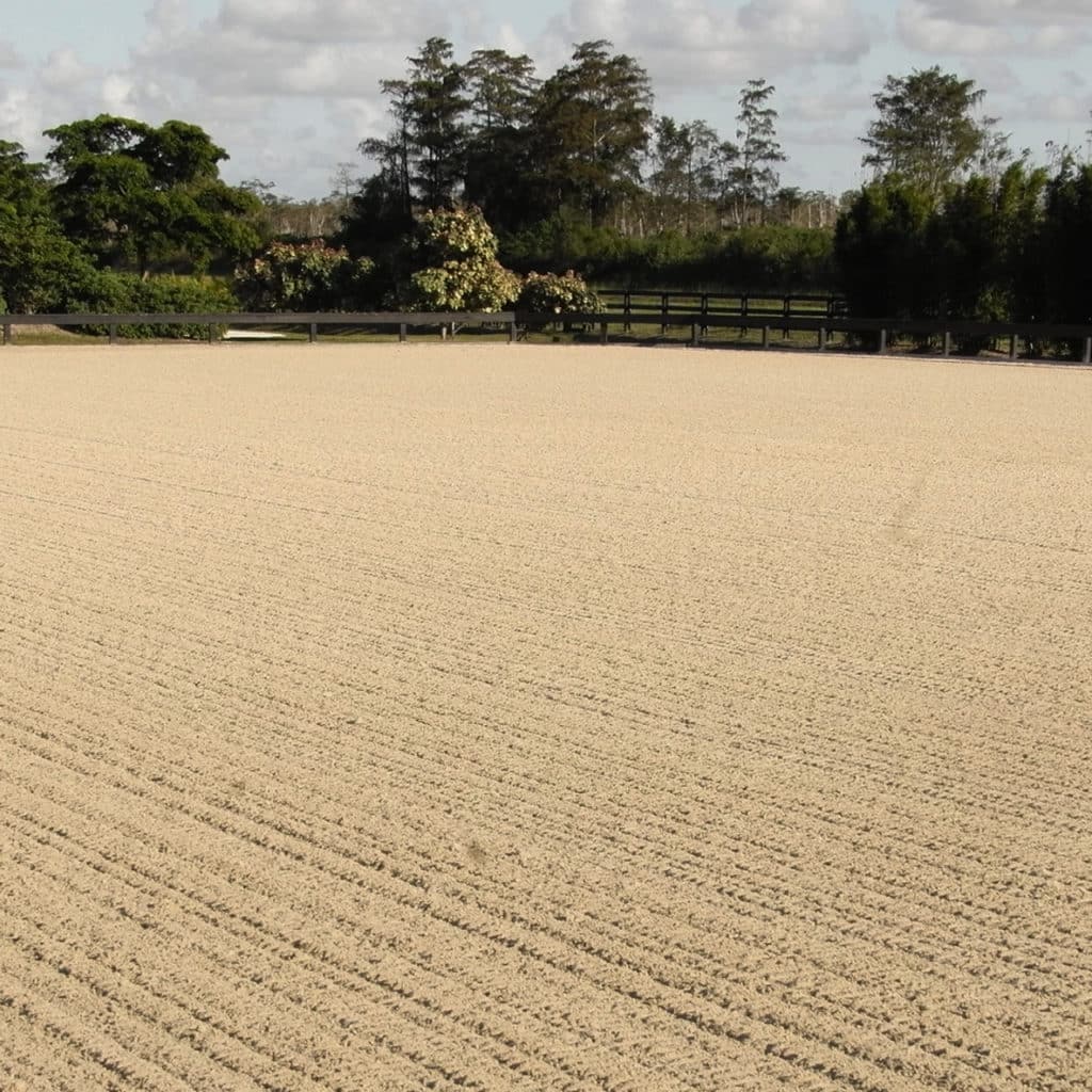 Arena Green | Waterless Dust-Free Arena Footing