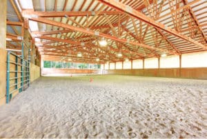 Horse Arena Footing Solutions | Performance Footing