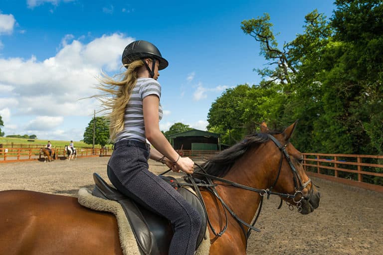 Best Paddock Footing for Horses | Performance Footing