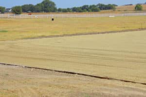 Best Arena Drag Patterns | Performance Footing