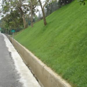 BaseCore Geocell Ground Grid | USA All Sizes | Performance Footing