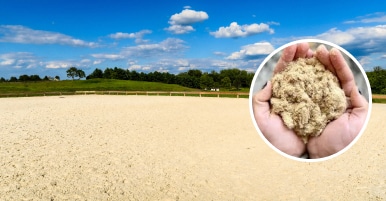 Horse Arena Footing Solutions | Performance Footing