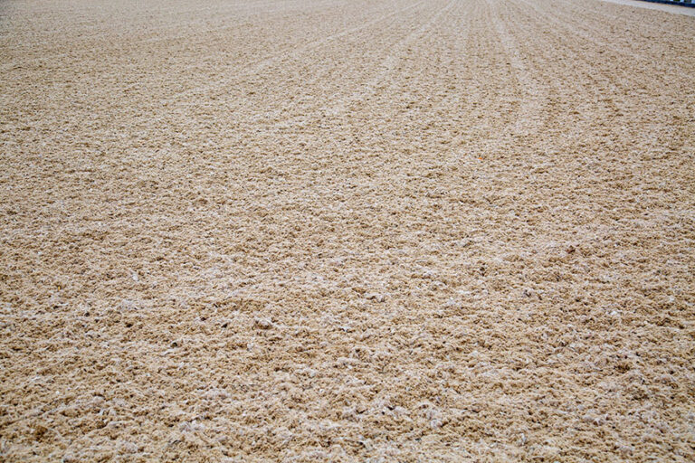 Choosing the Right Horse Arena Footing Additive | Arena Footing