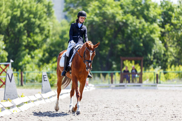 Footing Options for Dressage Arena | Performance Footing
