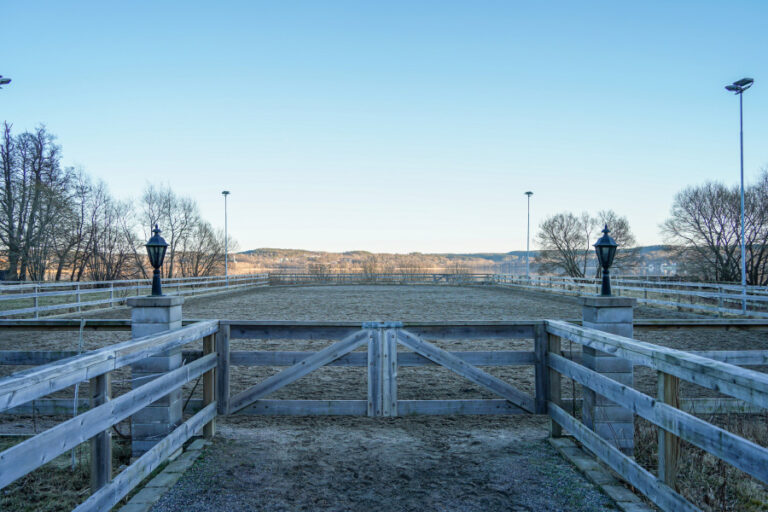 Preparing Your Outdoor Horse Arena for Winter | Performance Footing