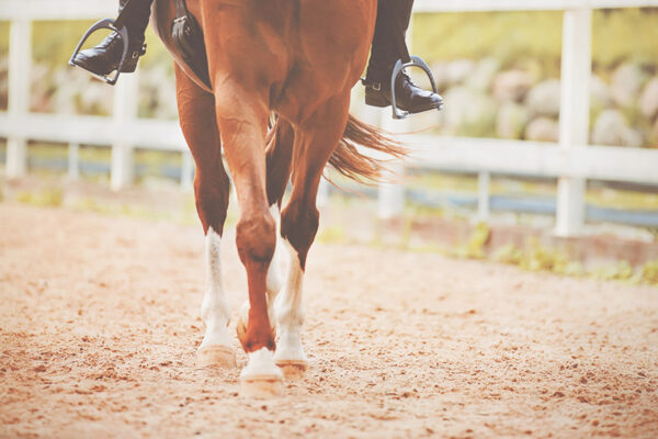 Guide to Best Footing for Outdoor Arenas | Performance Footing