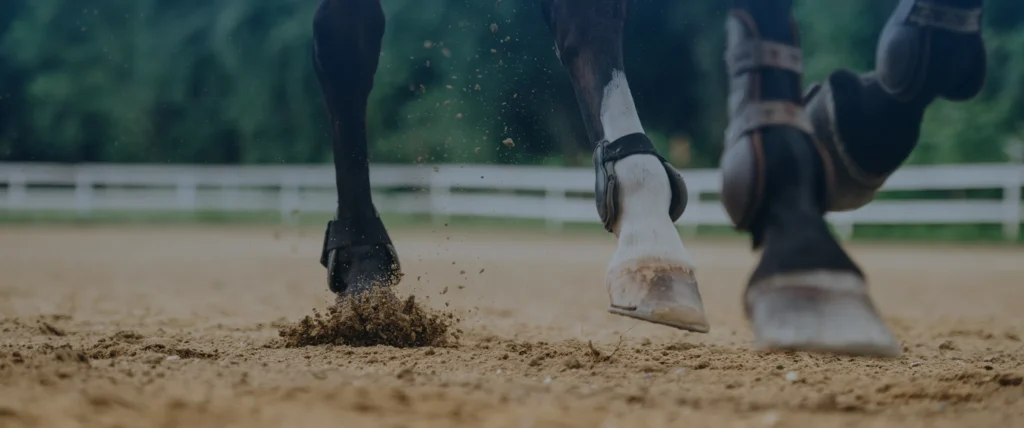 Reliable Premium Horse Arena Footing Blends | Performance Footing