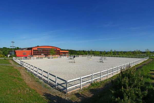 Ultimate Guide to Sand Types for Horse Arenas | Performance Footing