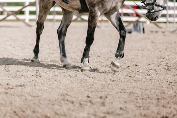 Budget vs Premium: Horse Arena Construction Paths 2025