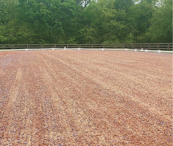 Experienced Horse Arena Builder in Texas | Performance Footing